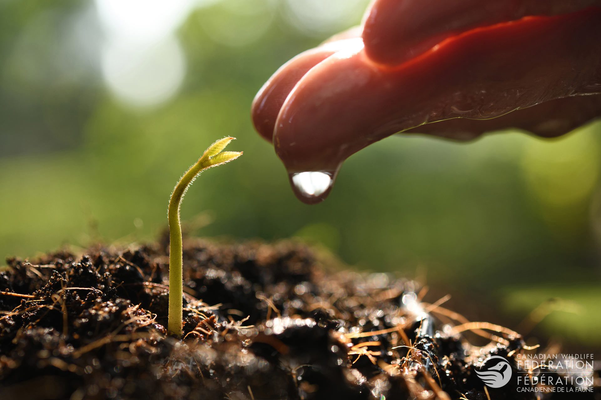Soil and Human Health | Medical Updates